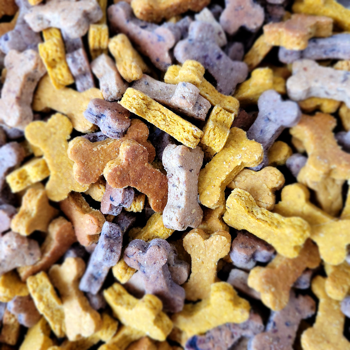 Biscuits – Pup & Pop Bakeshop